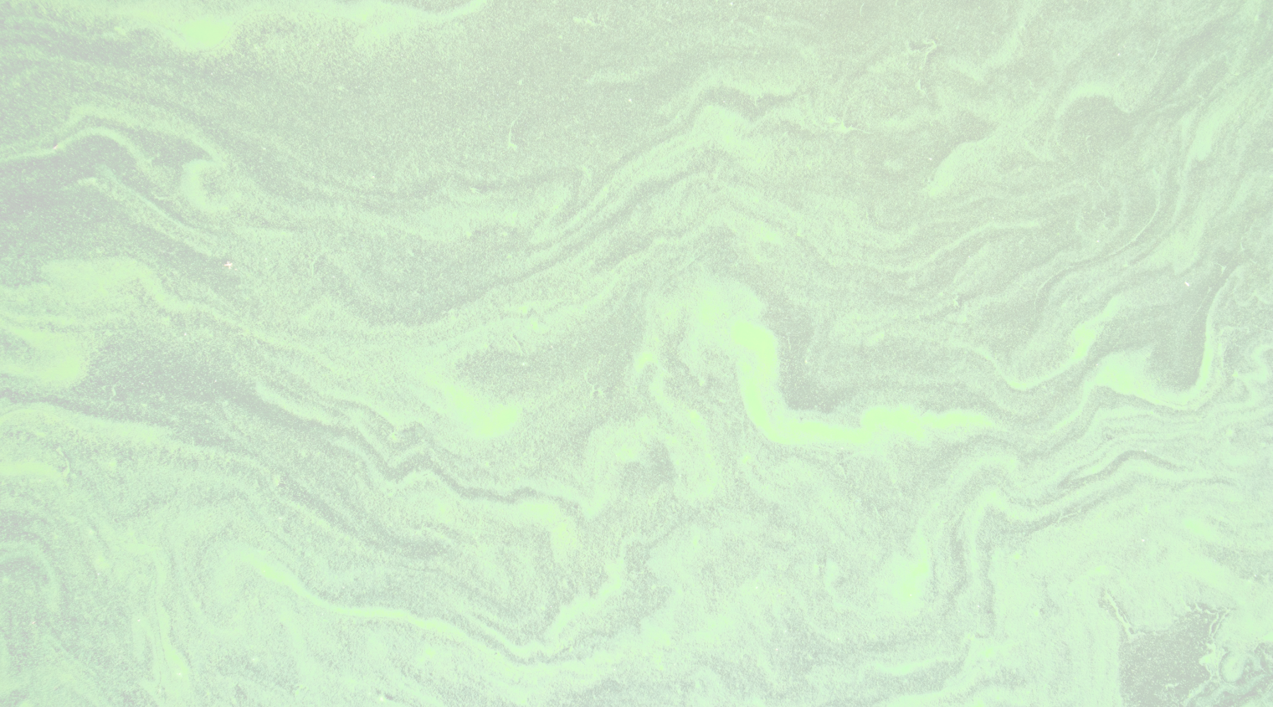 Printing a Greener Future: Algae Ink with Lake&Lure